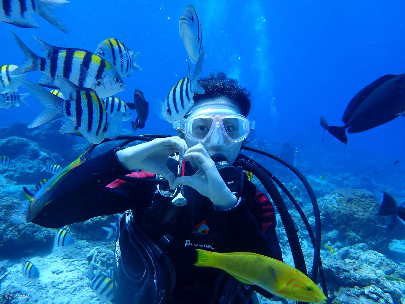 [Green Island Diving] Taitung Green Island Lansha Dive Center 4 Tage 3 ...